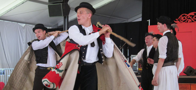 Events | Daydream Tourist